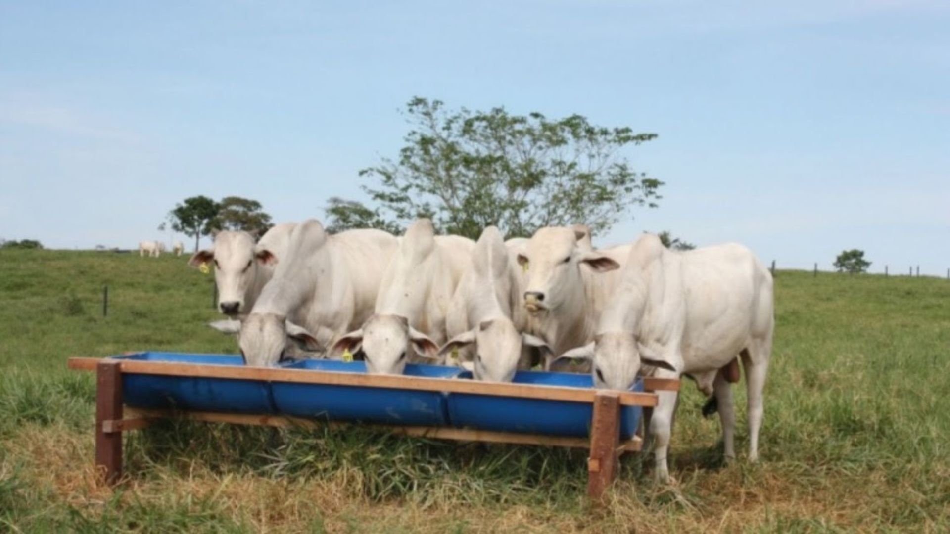 Estas são as 6 regras de ouro para ter sucesso na TIP. Conheça cada uma ...