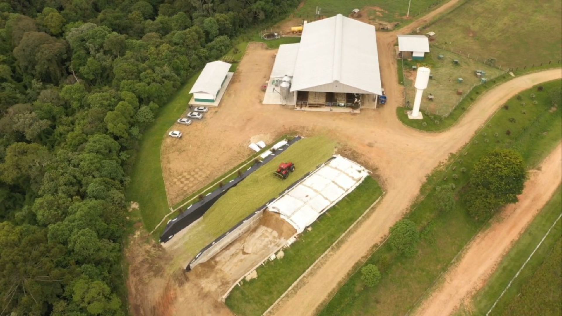 Silagem do gado: saiba as estratégias de quando abrir e evitar perdas ...